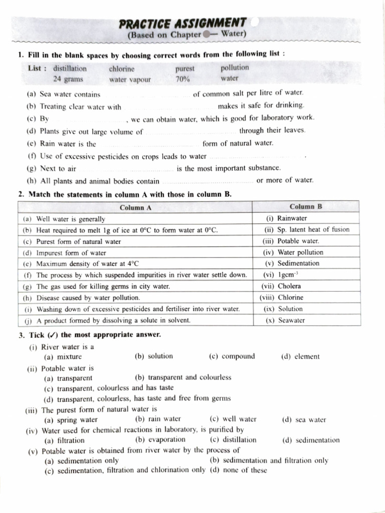 Water Purification and Pollution Quiz | PDF | Water | Solubility