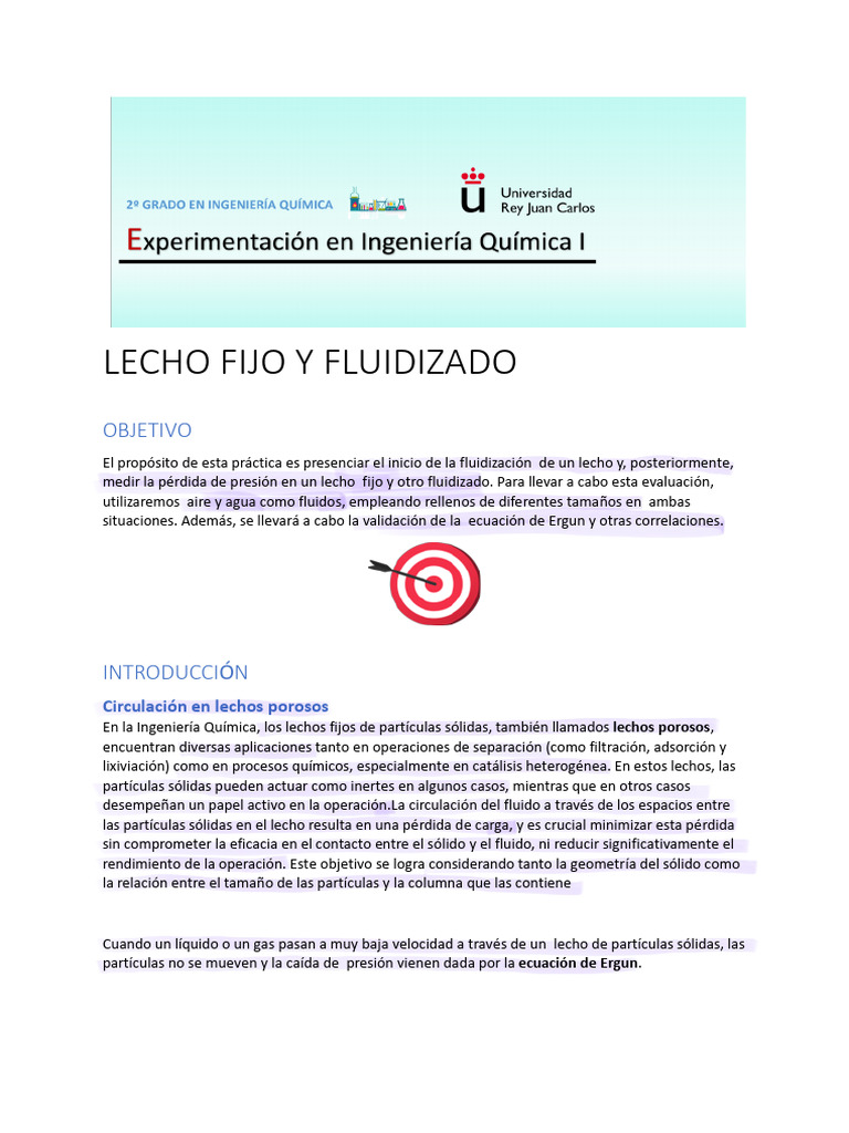 Lecho Fijo y Fluidizado | PDF | Bomba | Fluidización