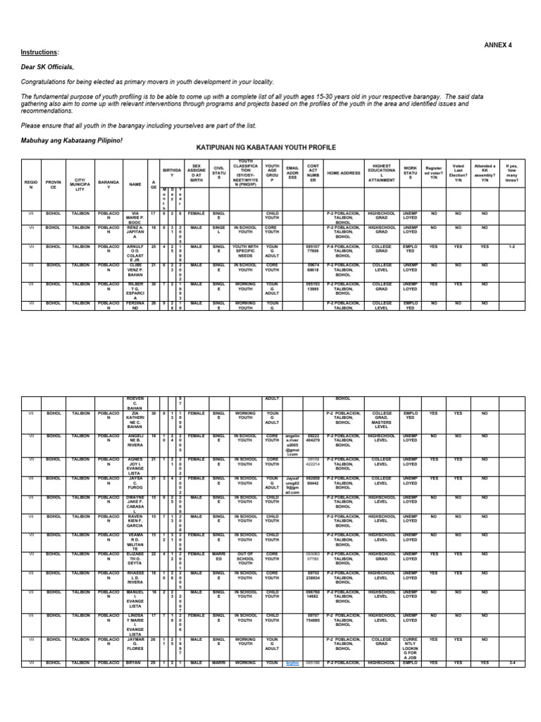 SK Poblacion KK Profiling | Download Free PDF | Youth | Youth Organizations