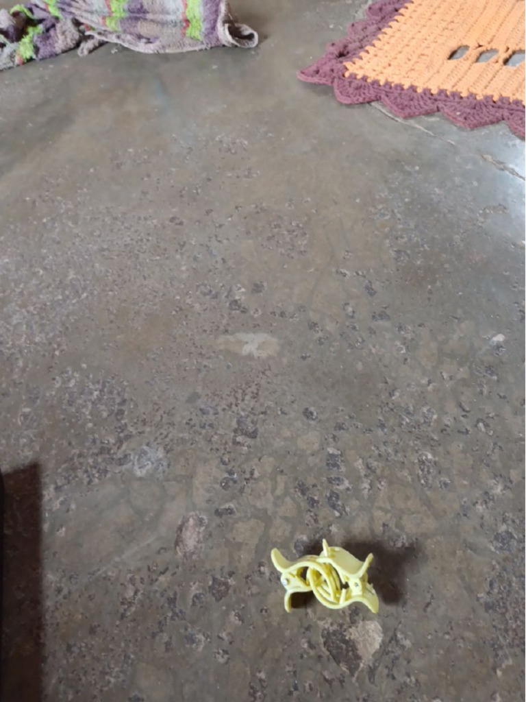 Digitalizado 20240221-1246 | PDF