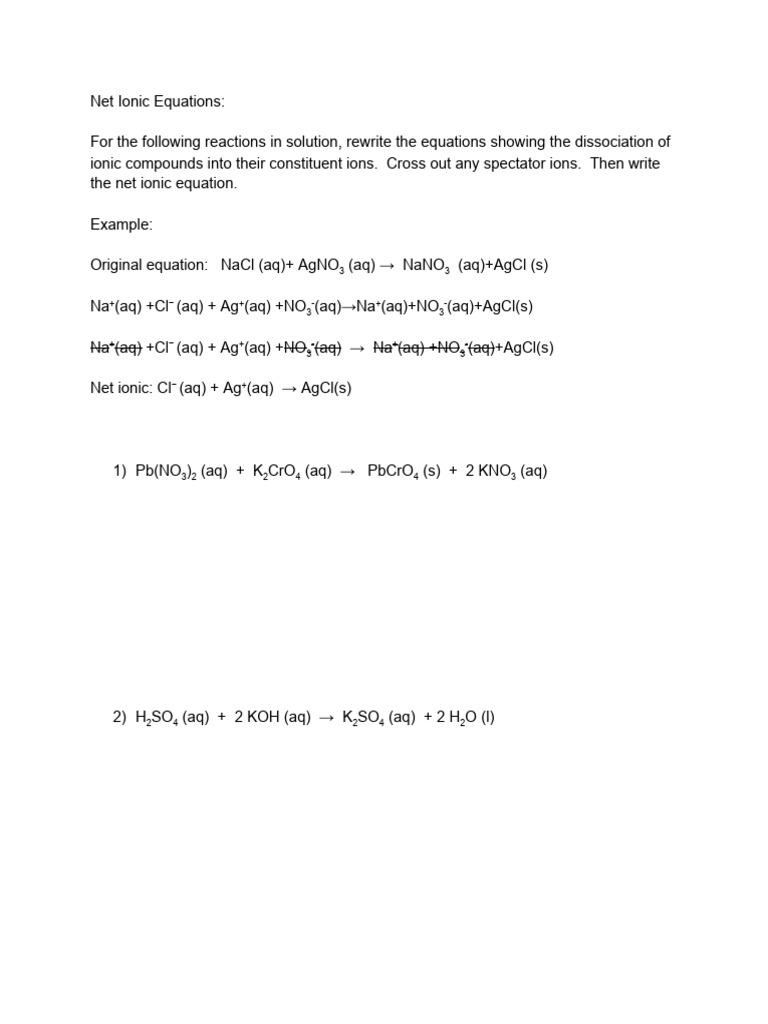 Net Ionic Equations | PDF