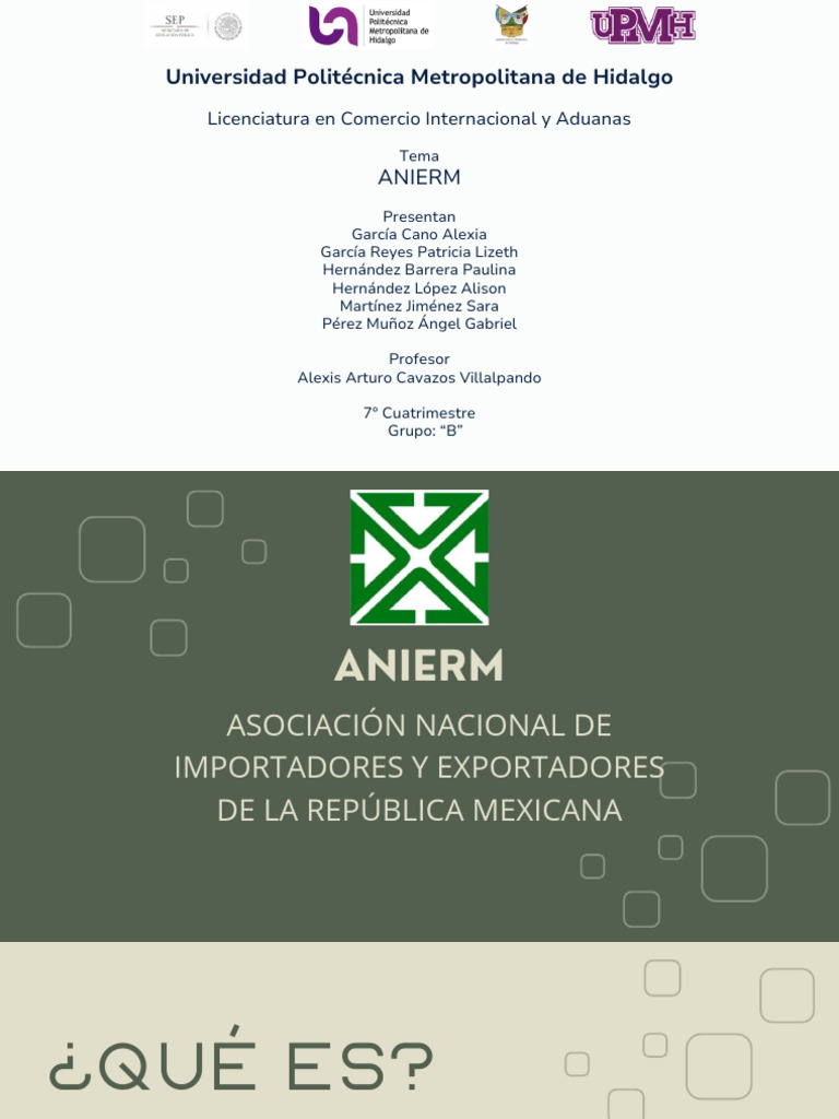 ANIERM | PDF | Negocios | Ciencias sociales