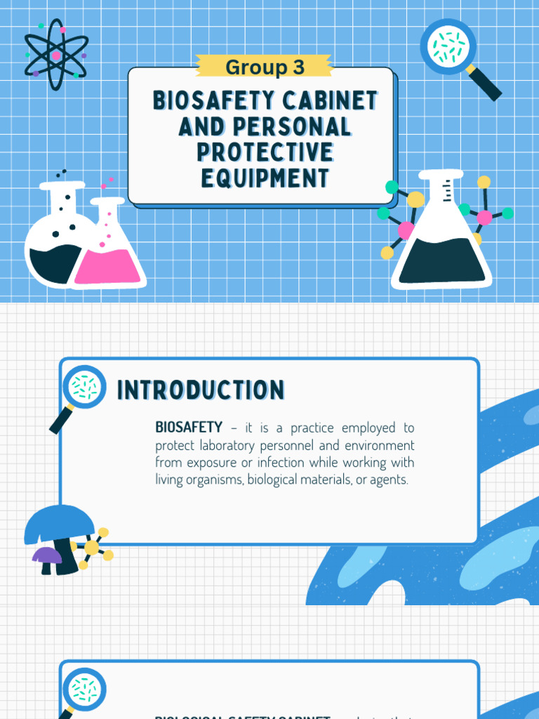 Biosafety Cabinet and Personal Protective Equipment (GROUP 3) | PDF | Personal Protective ...