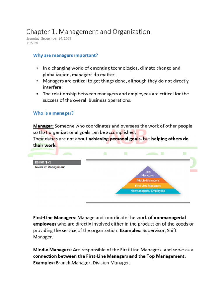 Overview of Management Roles and Functions | PDF | Goal | Business ...