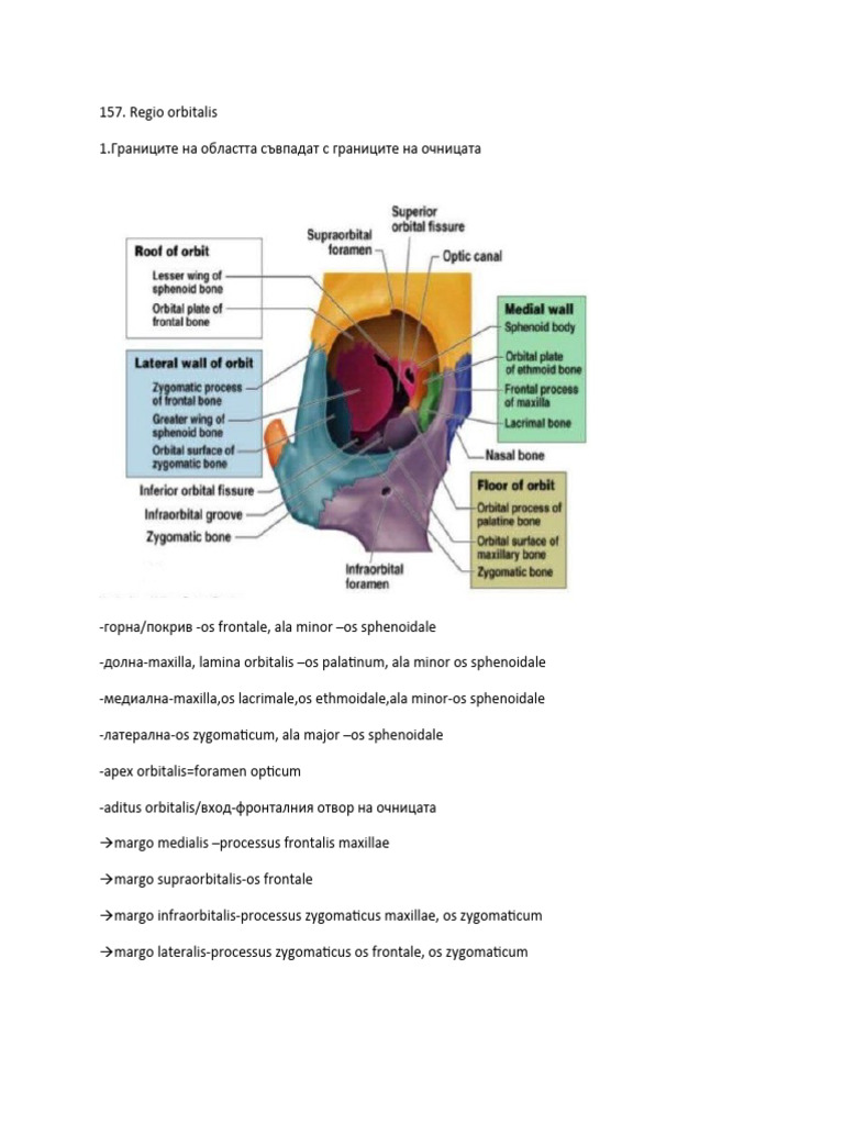 157 Regio Orbitalis | PDF