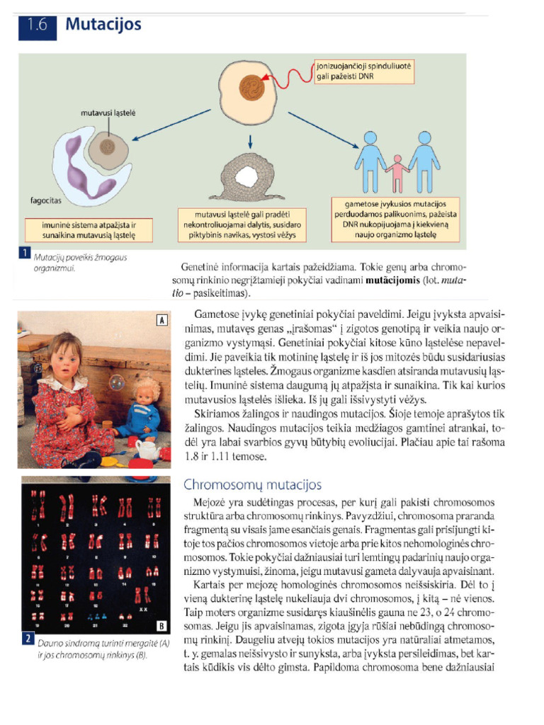 Mutacijos. Daloma Medziaga | PDF