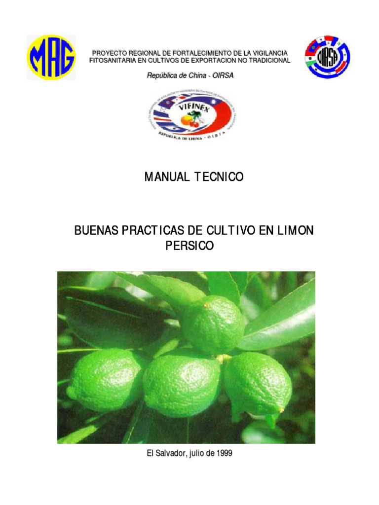 Manual BPC Limon Tahiti | PDF | Fertilizante | Riego