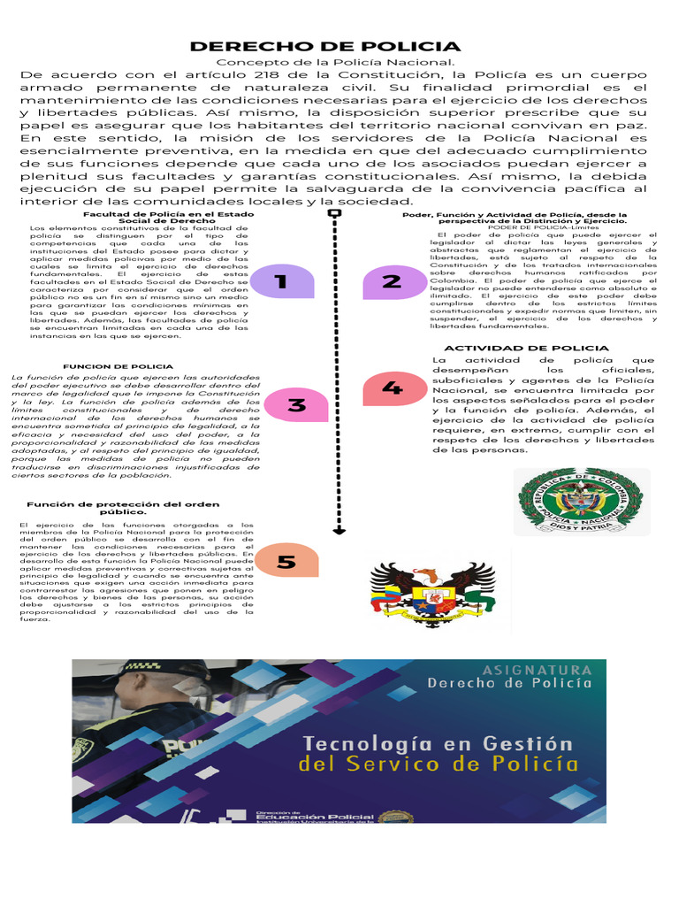 Derecho De Policia Act 1 Pdf Policía Estado Política