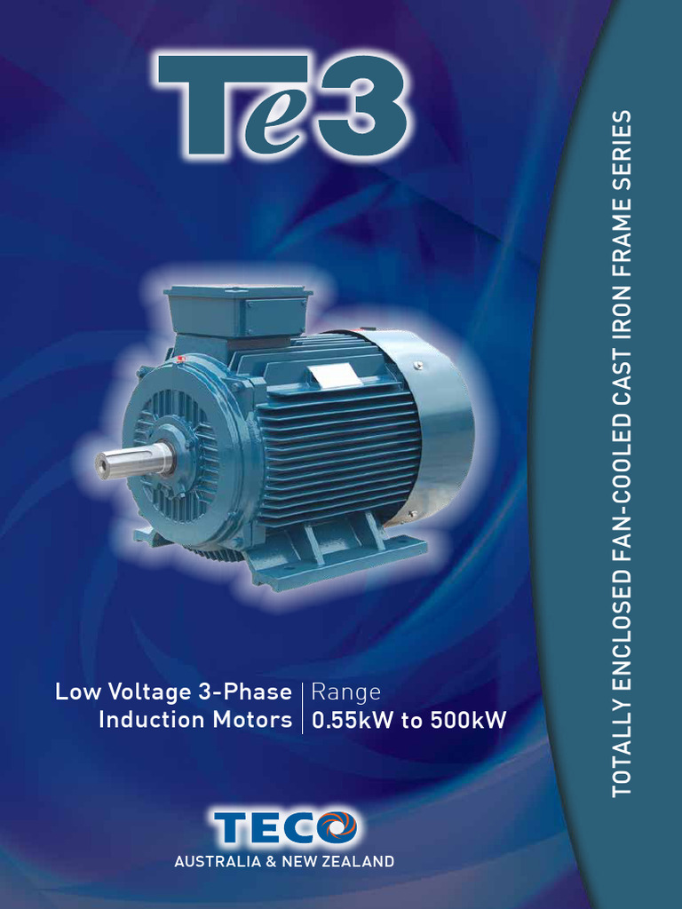 TECO 3-Phase Induction Motors Overview | PDF | Electric Motor ...