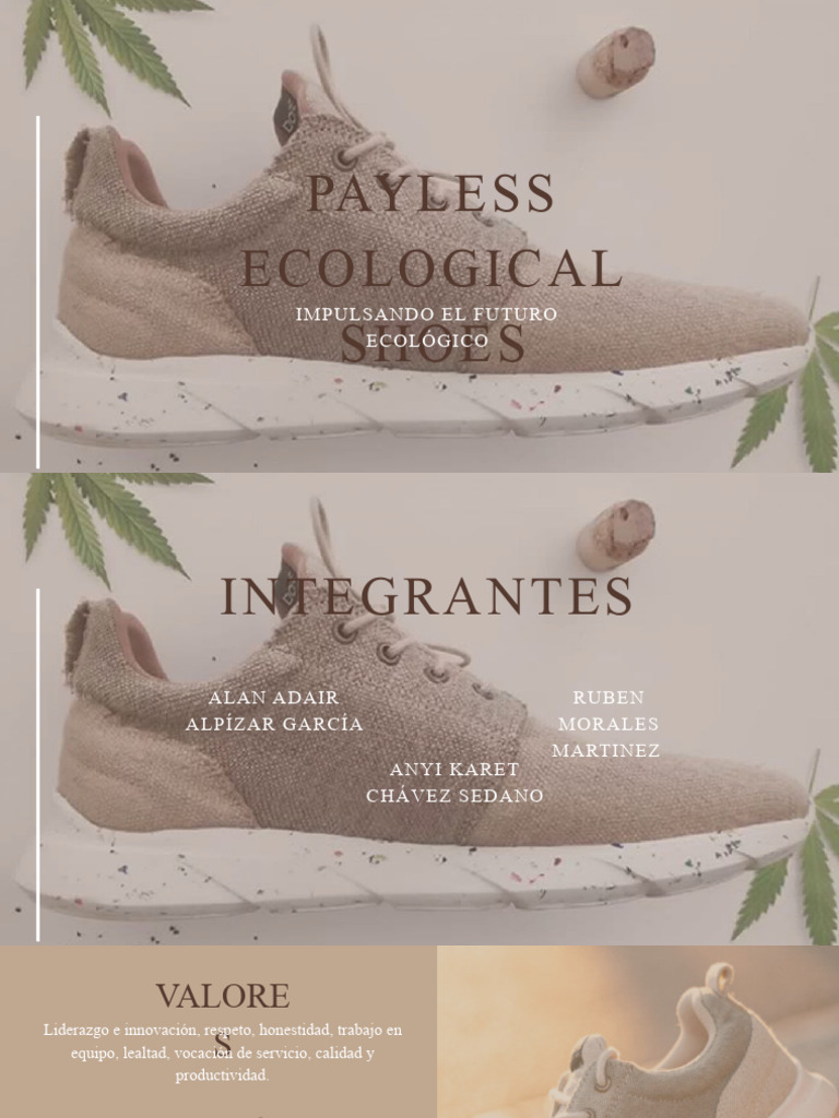 Payless Ecological Shoes | PDF | Business | Mercado (economía)