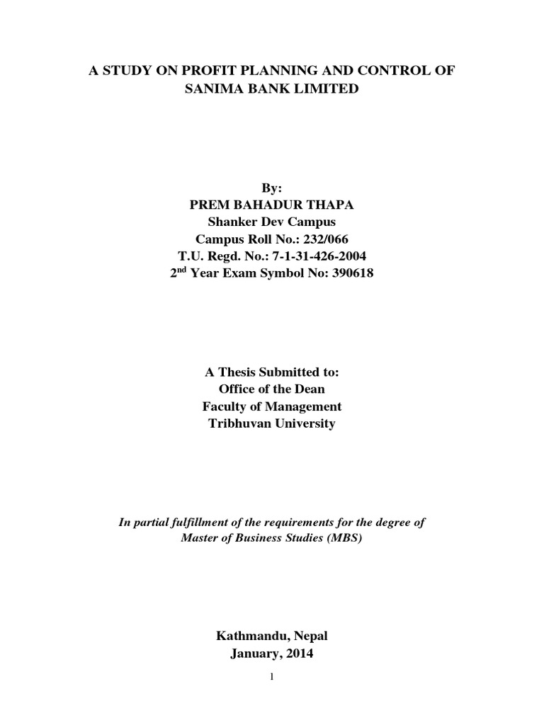 Full Thesis | PDF | Banks | Loans