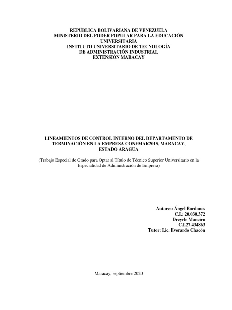 Teg Maneiro Bordones Final | PDF | Business | Planificación