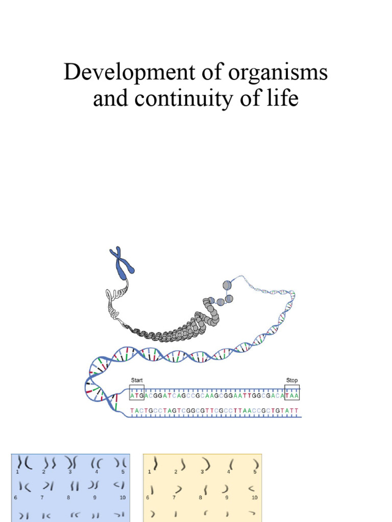 Development of Organisms and Continuity of Life | PDF | Wellness