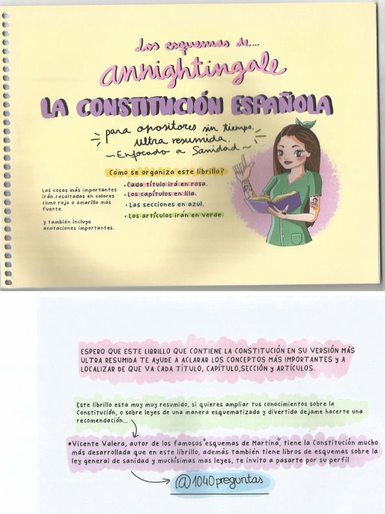 Constitucion Resumen Pdf
