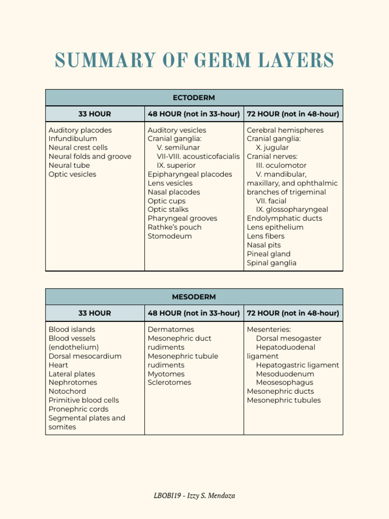 Summary-of-Germ-Layers | PDF | Developmental Biology | Human Anatomy