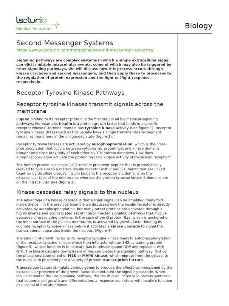 Second Messenger Systems | PDF | Signal Transduction | Cell Signaling
