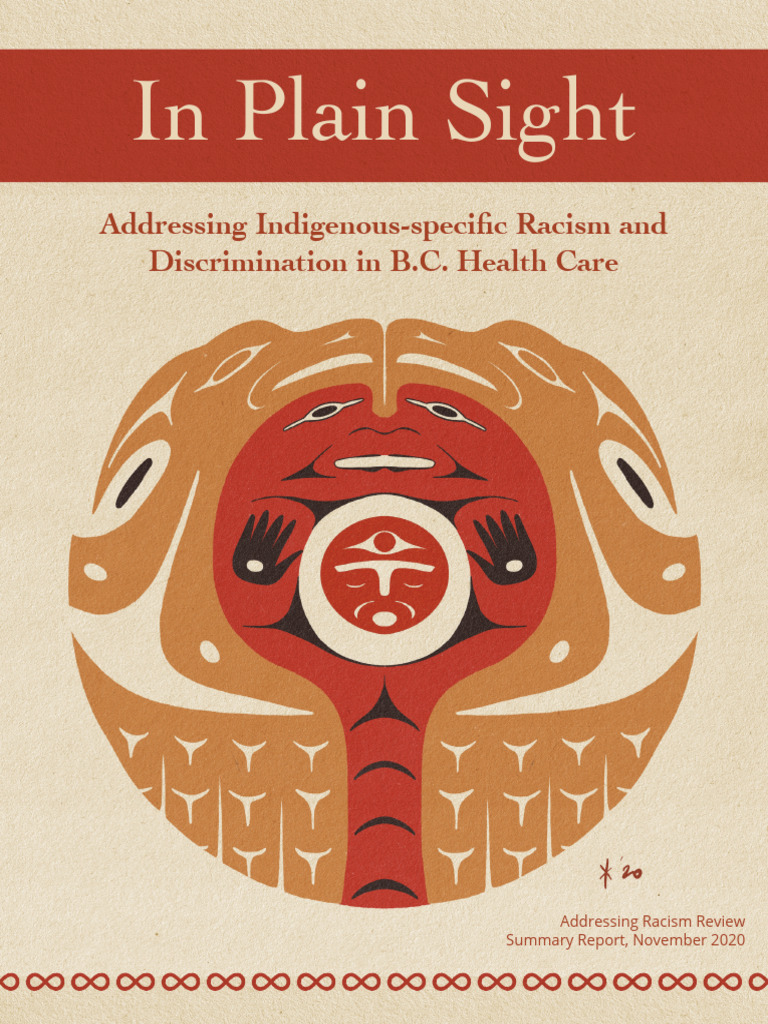 In Plain Sight Summary Report | Download Free PDF | Prejudices | Racism