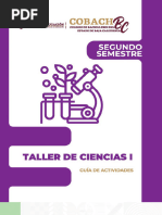 Progresiones Taller de Ciencias II | PDF | Aprendizaje | Teoría