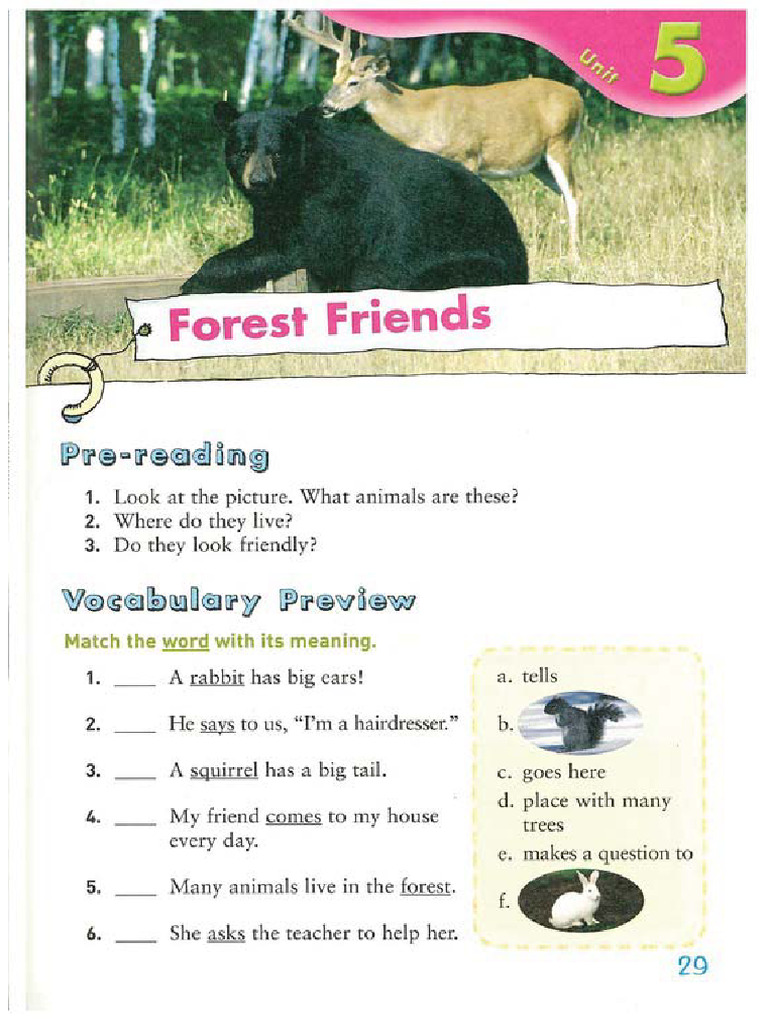 RS1.5 - Forest Friends | PDF