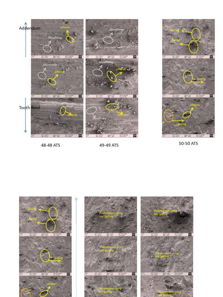 SEM Images of Surface Damage | PDF