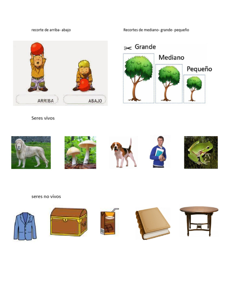 recorte de arriba grande pequeño mediano grande | PDF