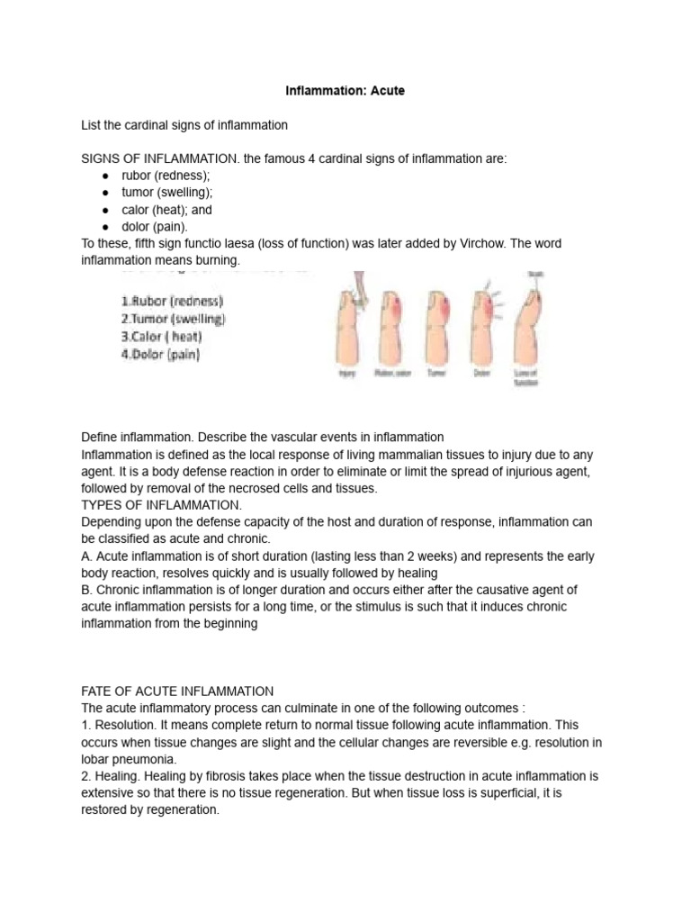 Patho 3 | PDF | Wound Healing | Inflammation