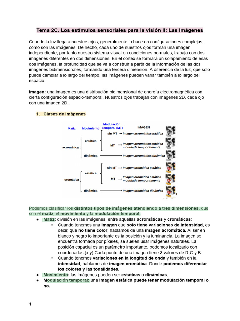 Tema 2C. Los Estímulos Sensoriales para La Visión II - Las Imágenes ...