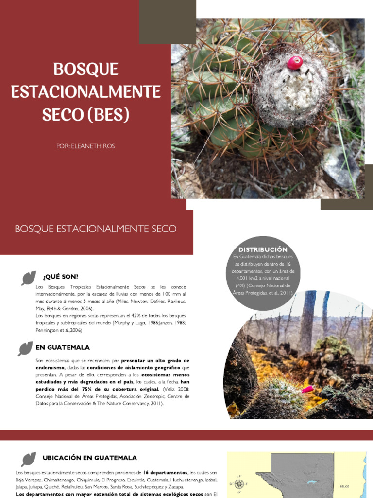 Bosques Estacionalmente Secos en Guatemala | PDF | Los bosques | Guatemala