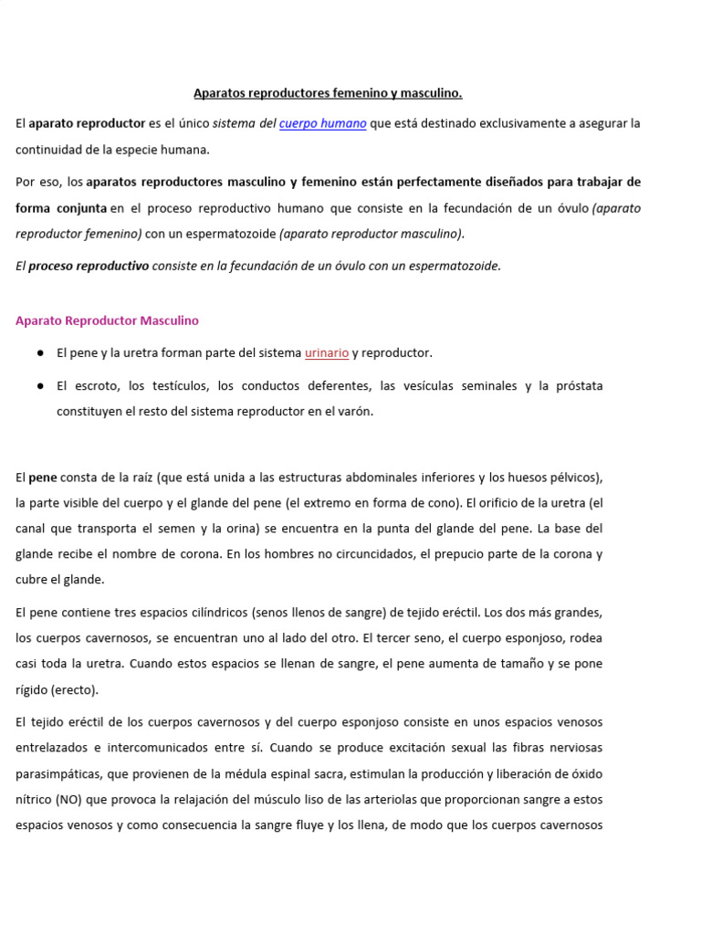 Salud y Adolescencia - 4A y 4B | PDF | Sistema reproductivo | Gonadotropina