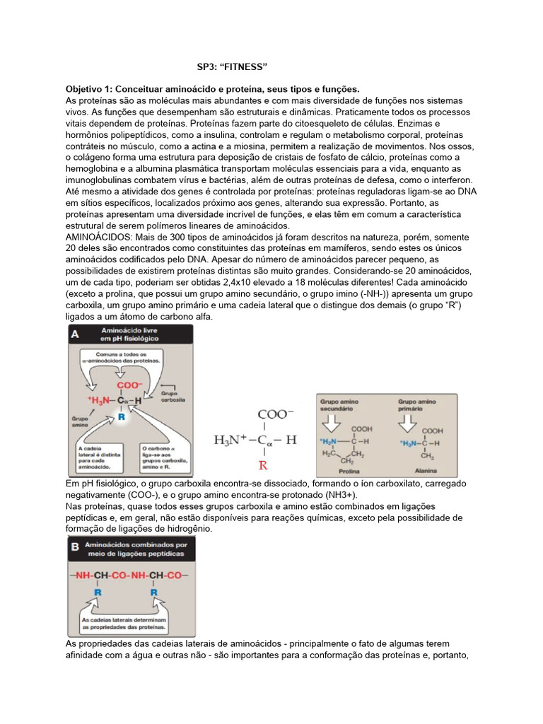 Metabolismo Das Proteínas, Síntese, Ciclo Da Ureia e Icterícia ...