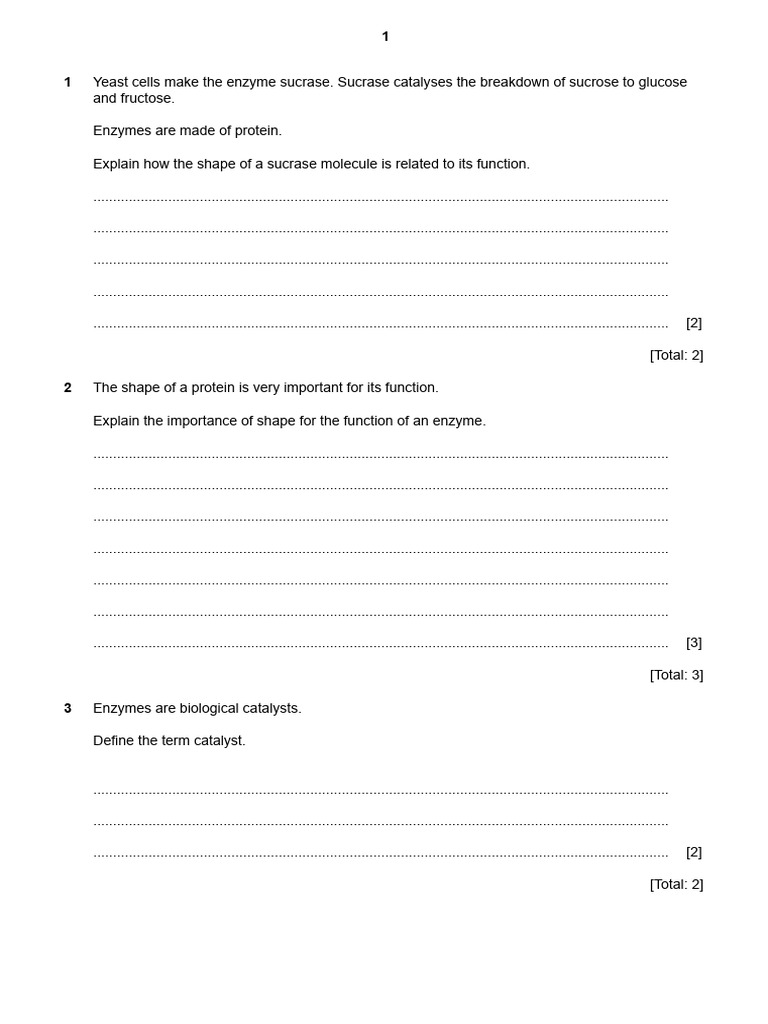 Year 9 ENZYMES WS | PDF | Enzyme | Catalysis