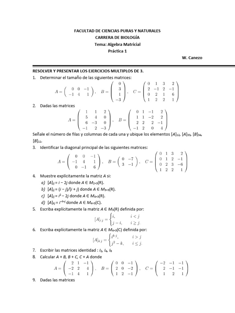Practica de Matrices.1 | PDF | Matriz (Matemáticas) | Funciones y mapeos