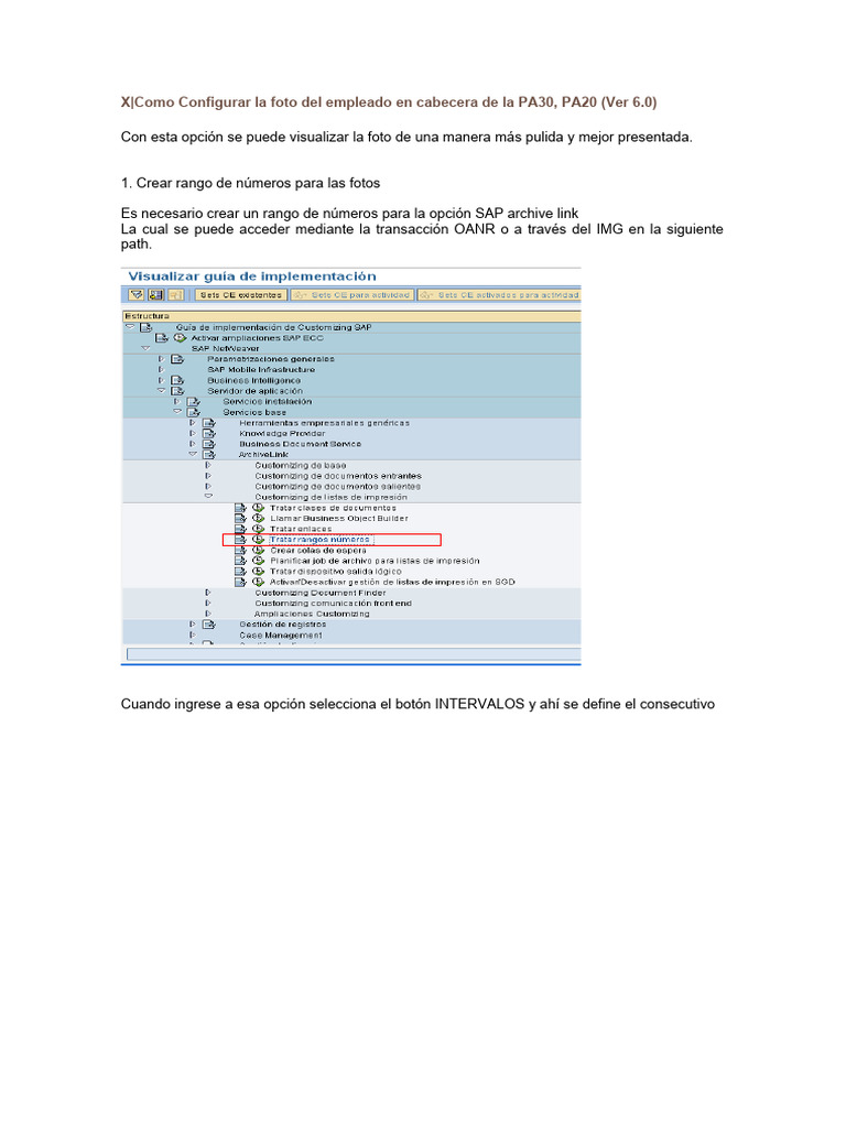 Configuración de Fotos en SAP PA30/PA20 | PDF | Ventana (informática ...