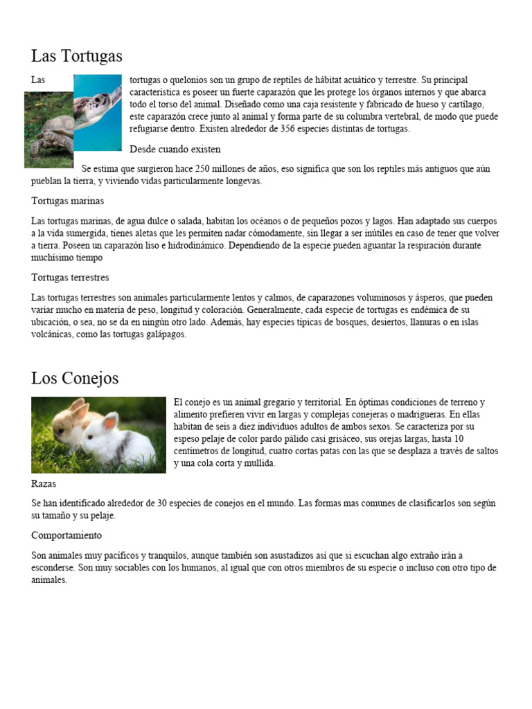 Texto Expositivo Tortugas Y Conejos Descargar Gratis Pdf Tortuga