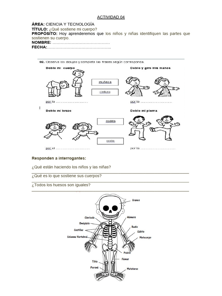 Cyt Qué Sostiene Mi Cuerpo | PDF