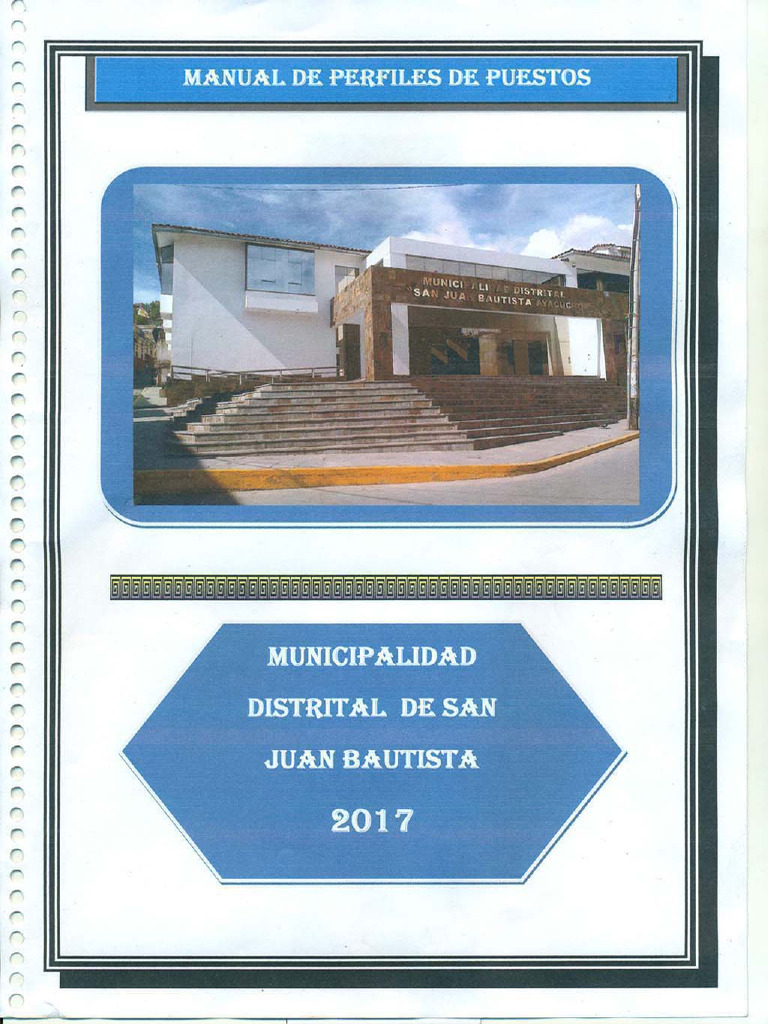 Manual de Perfil de Puesto 2017 | PDF