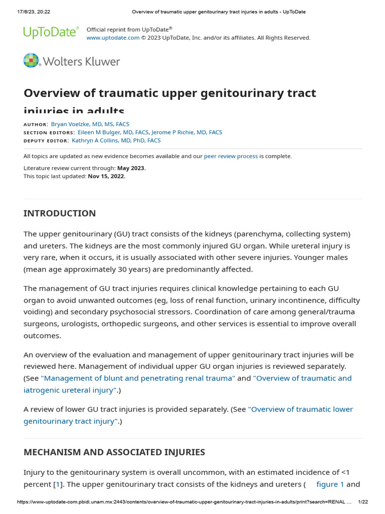 Overview of Traumatic Upper Genitourinary Tract Injuries in Adults ...