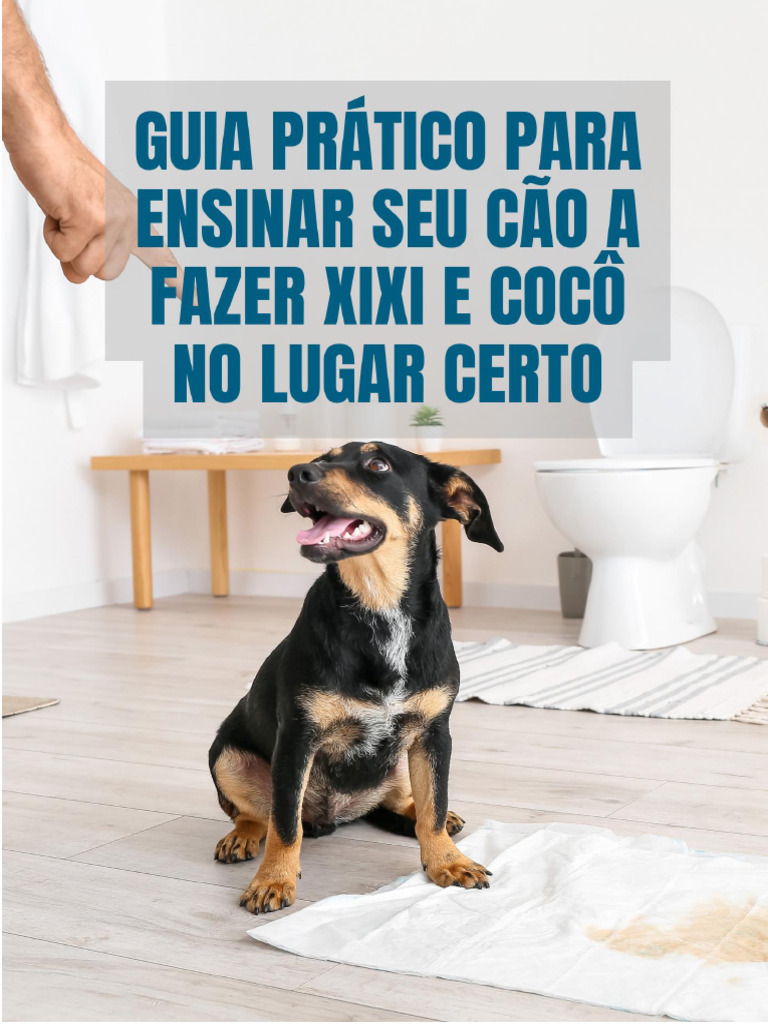 Ensinando Seu Cão A Fazer Xixi e Coco No Lugar Certo | PDF | Cães | Ansiedade