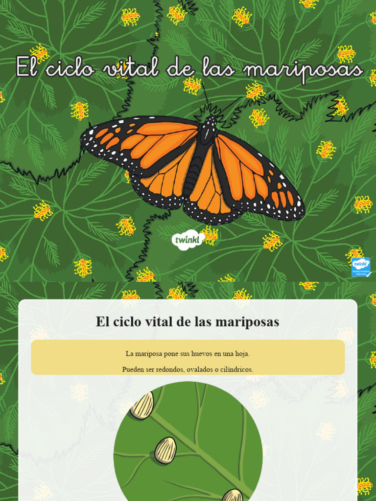 -el-ciclo-vital-de-las-mariposas-PPT | PDF