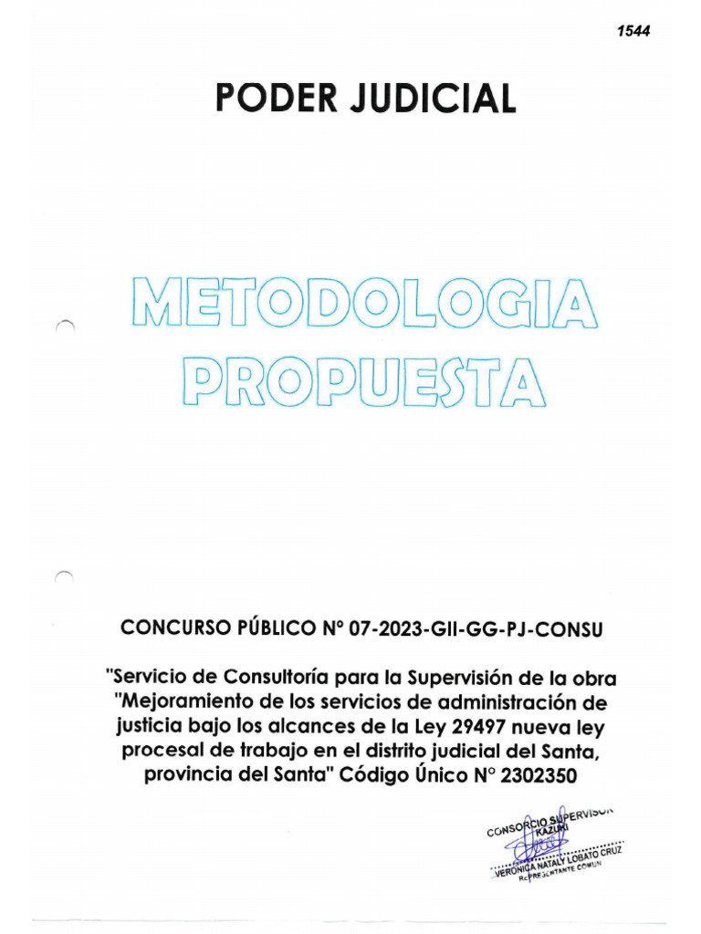 Modelo de Metodologia Poder Judicial | PDF