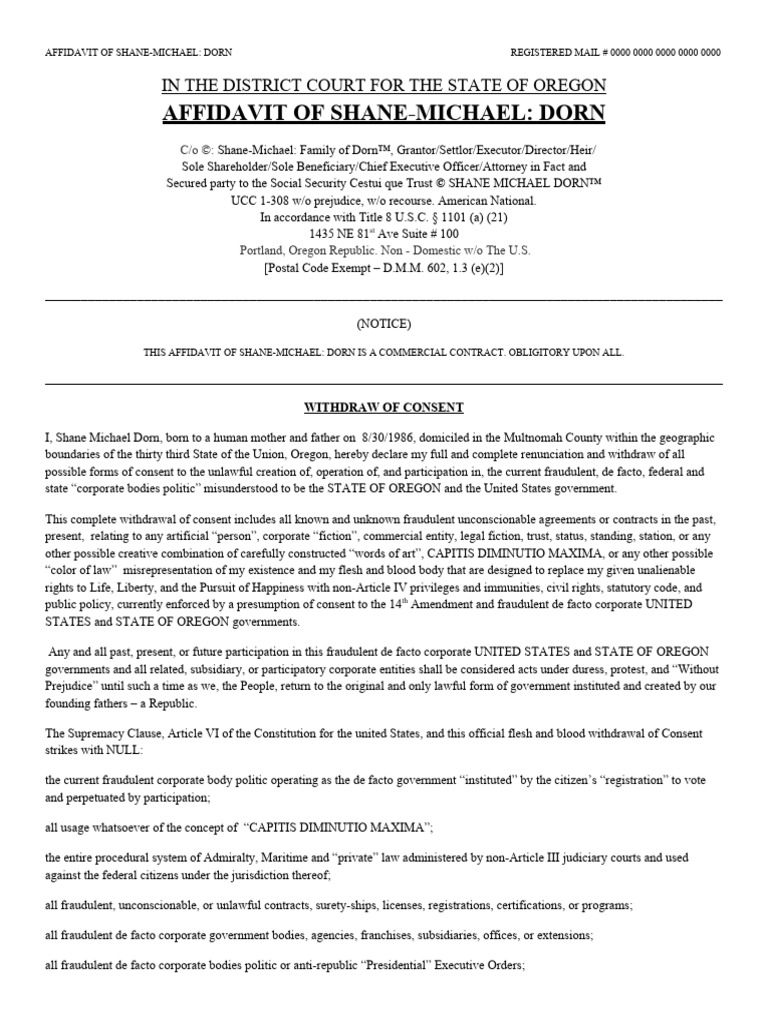 Affidavit of Shane Michael Dorn | PDF | Fourteenth Amendment To The ...