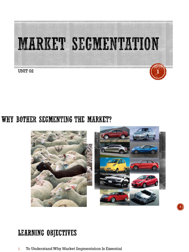 Market Segmentation Essentials | PDF | Marketing | Market Segmentation