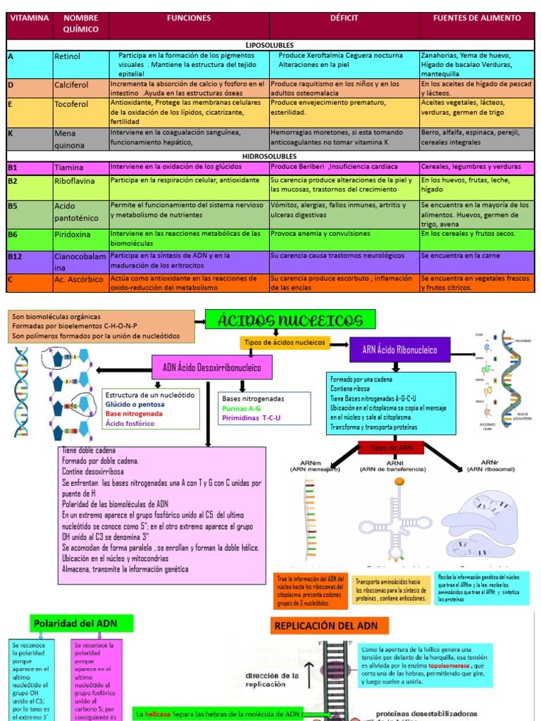 Materia Biología 1 Trime 2 | PDF | Nucleótidos | Trifosfato de adenosina