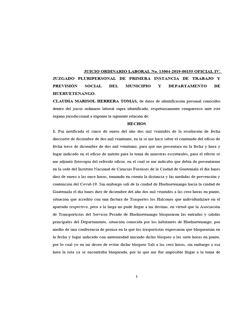 Memorial de Excusa Ordinario Laboral Claudia Marisol Inacif | PDF ...