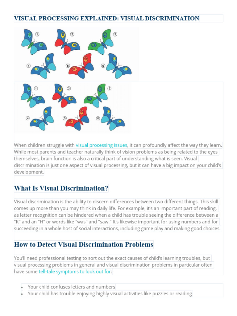 Visual Processing Explained | PDF | Perception | Visual Perception