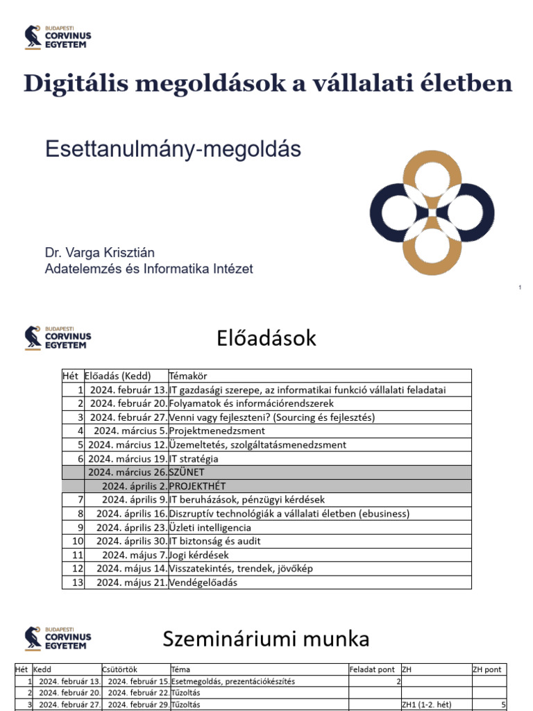 DMVÉ - Esettanulmány Feldolgozás 2024 | PDF