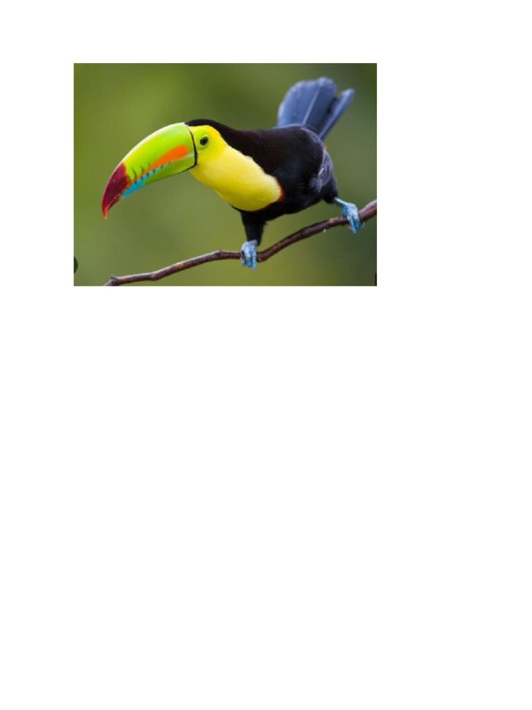 Lllllllllllllllllllllllllll Pdf