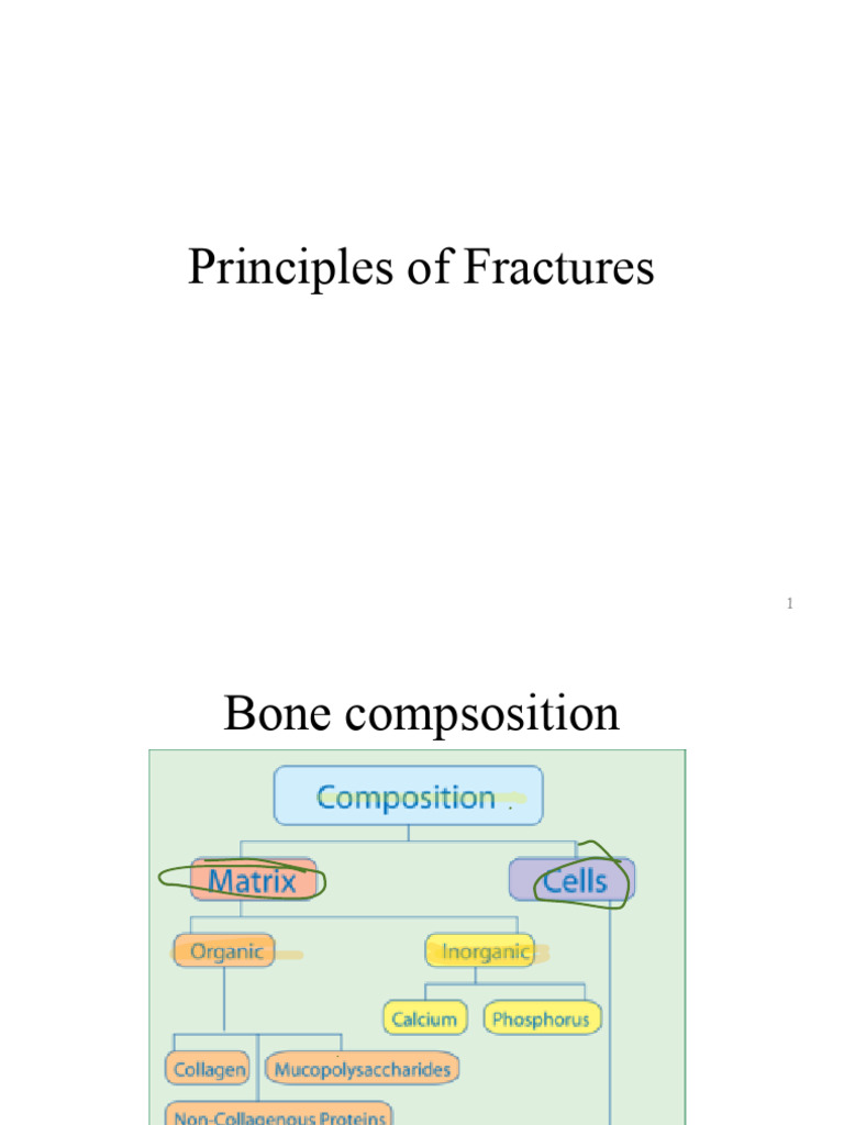 Bone Fracture Essentials | PDF | Bone | Anatomical Terms Of Location