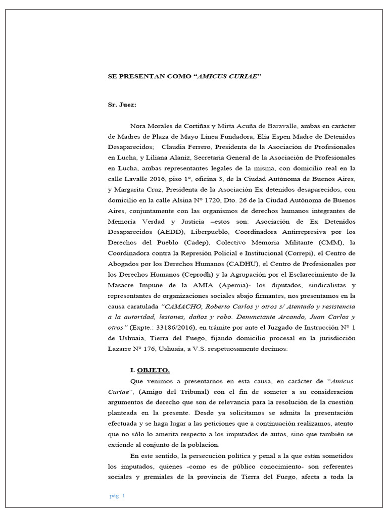 Amicus TDF Final CF | PDF | Amicus Curiae | Estado (política)