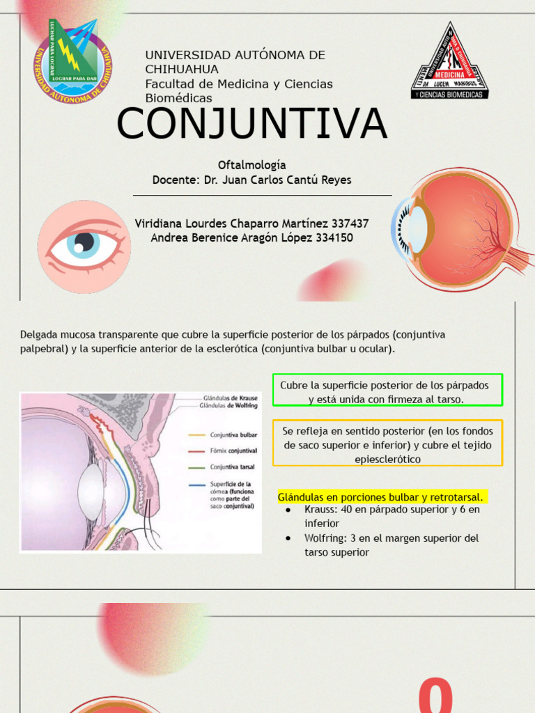 Conjuntiva | PDF | Cáncer | Alergia